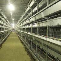 China Poultry Farming Chicken Cage Wire , High Temp Resistant High Tech Chicken Cage for sale