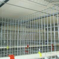 China High Efficiency Baby Chick Cage Large Capacity Easy To Clean ISO9001 Approval for sale