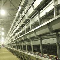 China High Efficiency Baby Chick Cage Large Capacity Easy To Clean ISO9001 Approval for sale