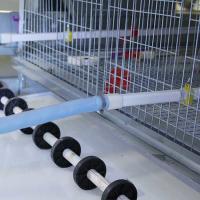 China Galvanized Steel A Cage For Poultry , Automatic Ladder Layer Chicken Cage for sale