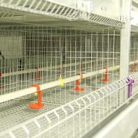 China H Type Low Death Rate Baby Chick Cage 4 Tiers For Large Scale Farm 300CM² Area for sale