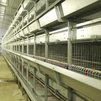 China Large Breeding Poultry Exhibition Cages , 120 * 60 * 59CM Chicken Isolation Cage for sale