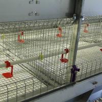 China Fire Resistant Chicken Steel Cage , 198 Birds Chick Cage With Heat Lamp for sale