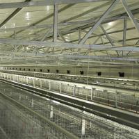 China Battery Poultry Farming Equipment , Durable H Type 192 Baby Chicken Cage for sale