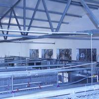 China Battery Poultry Farming Equipment , Durable H Type 192 Baby Chicken Cage for sale