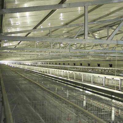 China Low Disease Baby Chick Cage 195 * 50 * 35CM Size 20 Years Life Span Free Design for sale