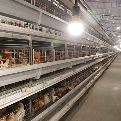 China Automatic Laying Poultry Farm Equipments H Type 4Tiers 192 Birds Layer Battery Chicken Cage For Africa Markets for sale