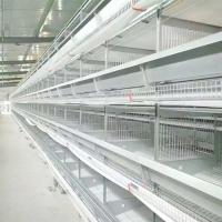 China Q235 Steel Wire Poultry Chicken Cage Stable Performance 0 - 20kw Power For Farm for sale
