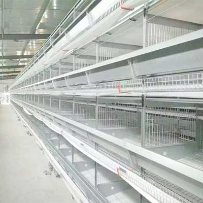 China Q235 Steel Wire Poultry Chicken Cage Stable Performance 0 - 20kw Power For Farm for sale