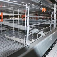 China H Type / A Type Layer Chicken Cage System U Shape Steel Cage Frame Durable for sale