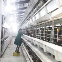 China 90 - 256 Birds Battery Cage System , Durable Enriched Cages For Laying Hens for sale