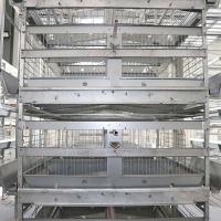 China 90 - 256 Birds Battery Cage System , Durable Enriched Cages For Laying Hens for sale