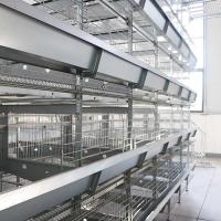 China 90 - 256 Birds Battery Cage System , Durable Enriched Cages For Laying Hens for sale
