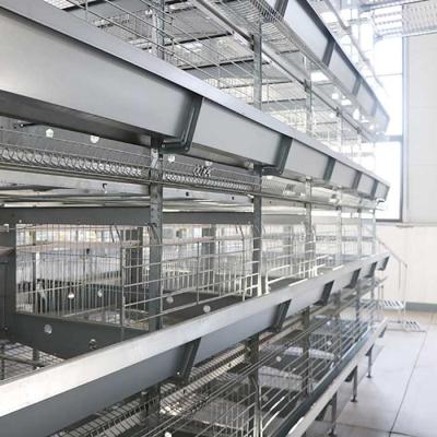 China 90 - 256 Birds Battery Cage System , Durable Enriched Cages For Laying Hens for sale