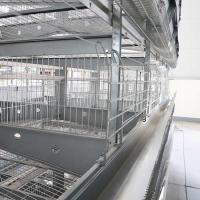 China Chickens A Type Layer Cages , High Efficiency Poultry Processing Equipment for sale