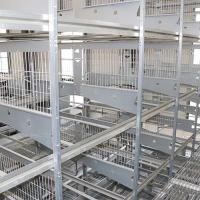 China Less Disability H Type Layer Cage , Layer Poultry Farming Equipment For Chickens for sale