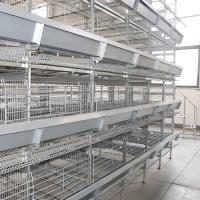 China Less Disability H Type Layer Cage , Layer Poultry Farming Equipment For Chickens for sale