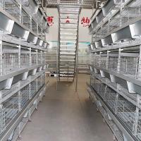 China Less Disability H Type Layer Cage , Layer Poultry Farming Equipment For Chickens for sale