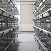 China 4 / 5 / 6 / 8 Tiers H Type Layer Layer Chicken Cage 120 * 60 * 70 Cm Size for sale