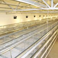 China Chickens A Type Layer Cages , High Efficiency Poultry Processing Equipment for sale