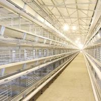 China Q235 Steel Wire Layer Chicken Cage Custom Design With Feeding / Drinking System for sale