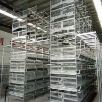 China Automatic Layer Poultry Farming Equipment Battery Chicken Egg Layer Cage System for sale