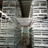 China 0 - 20kw Layer Chicken Cage 380V Voltage With Temperature Control System for sale