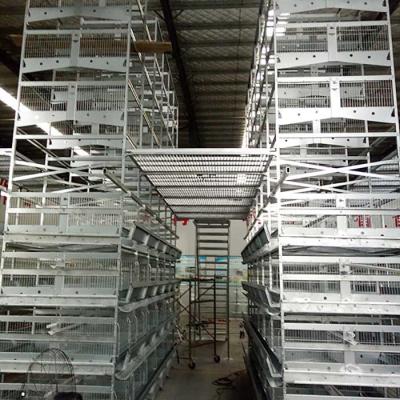 China 0 - 20kw Layer Chicken Cage 380V Voltage With Temperature Control System for sale