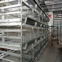 China 120 * 60 * 70cm Poultry Chicken Cage Automatic Control Labor Saving Eco Friendly for sale