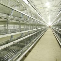 China Automatic H Type Layer Chicken Cage System Stable Performance Powerful for sale