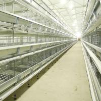 China Automatic H Type Layer Chicken Cage System Stable Performance Powerful for sale