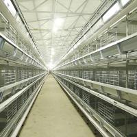 China Automatic Chicken Farm Equipment , 380V U Shape Steel Hi Tech Chicken Cage for sale