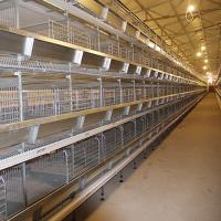 China Powerful Poultry Farm Cage , H Type Layer Chicken Cage With Ventilating System for sale