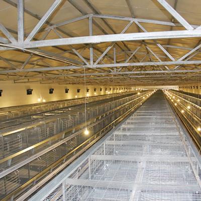 China Automatic H Type Layer Chicken Cage System Stable Performance Powerful for sale
