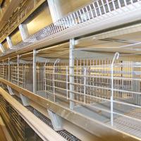China High Performance Poultry Chicken Cage 4 / 5 / 6 / 8 Tiers 120 * 60 * 70 Cm Size for sale