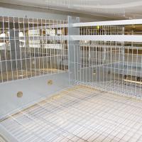 China High Performance Poultry Chicken Cage 4 / 5 / 6 / 8 Tiers 120 * 60 * 70 Cm Size for sale