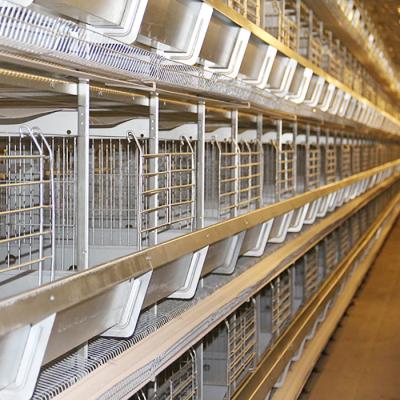 China Durable Automatic Chicken Feeding Equipment, Chicken Battery Hen Cage With Drinking System for sale