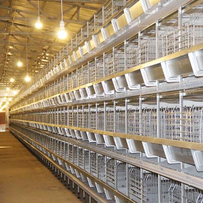 China High Performance Poultry Chicken Cage 4 / 5 / 6 / 8 Tiers 120 * 60 * 70 Cm Size for sale