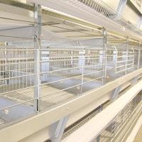 China Automatic Chicken Farm Equipment , 380V U Shape Steel Hi Tech Chicken Cage for sale