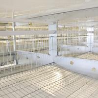 China Hot Dipped Galvanized H Type Poultry Cage , Running Feeder Chicken Wire Cage for sale