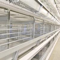 China Laying Eggs Automatic Chicken Cage , Large Scale Farm Free Range Chicken Cage for sale