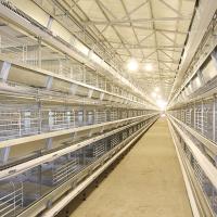 China Laying Eggs Automatic Chicken Cage , Large Scale Farm Free Range Chicken Cage for sale