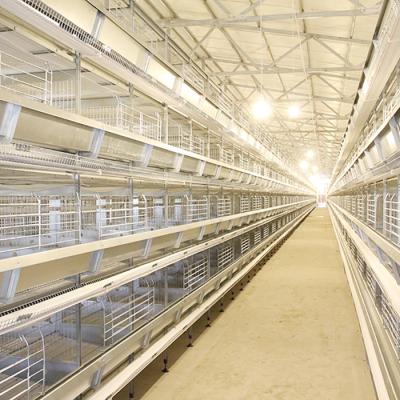 China Laying Eggs Automatic Chicken Cage , Large Scale Farm Free Range Chicken Cage for sale