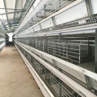 China Egg Collecting Wire Poultry Cages , Hot Dipped Galvanized 4 Tier Layer Cage for sale