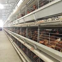 China Egg Collecting Wire Poultry Cages , Hot Dipped Galvanized 4 Tier Layer Cage for sale