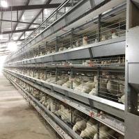 China Farm Raising Layer Chicken Cage High Efficiency Labor Saving With Lighting for sale