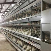 China Running Feeder Battery Cage For Poultry , Custom Height Modern Chicken Cages for sale