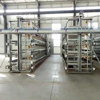 China 4 - 8.5m Raising Poultry Chicken Cage Battery Control With Auto Egg Collector for sale