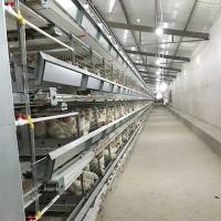 China Hot Dipped Galvanized H Type Poultry Cage , Running Feeder Chicken Wire Cage for sale