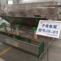 China Battery Power Indoor Rabbit Cage , Durable Sliver 2 Tiers Wire Rabbit Cages for sale